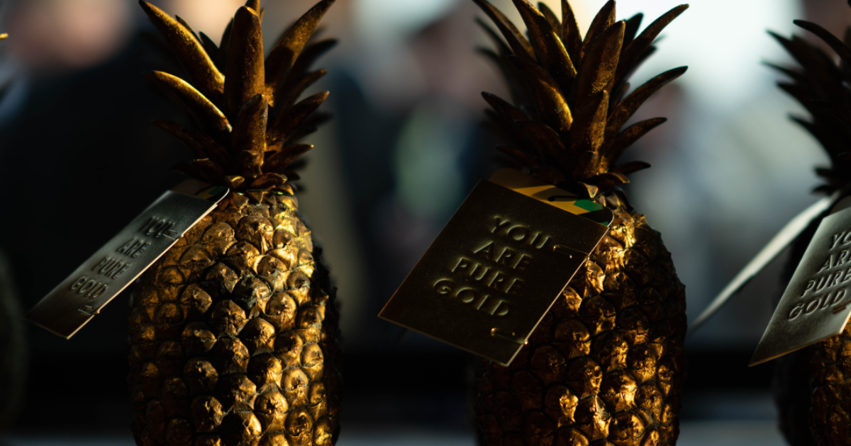 On the shortlist! The Pineapple Awards 2024 - Stiff + Trevillion